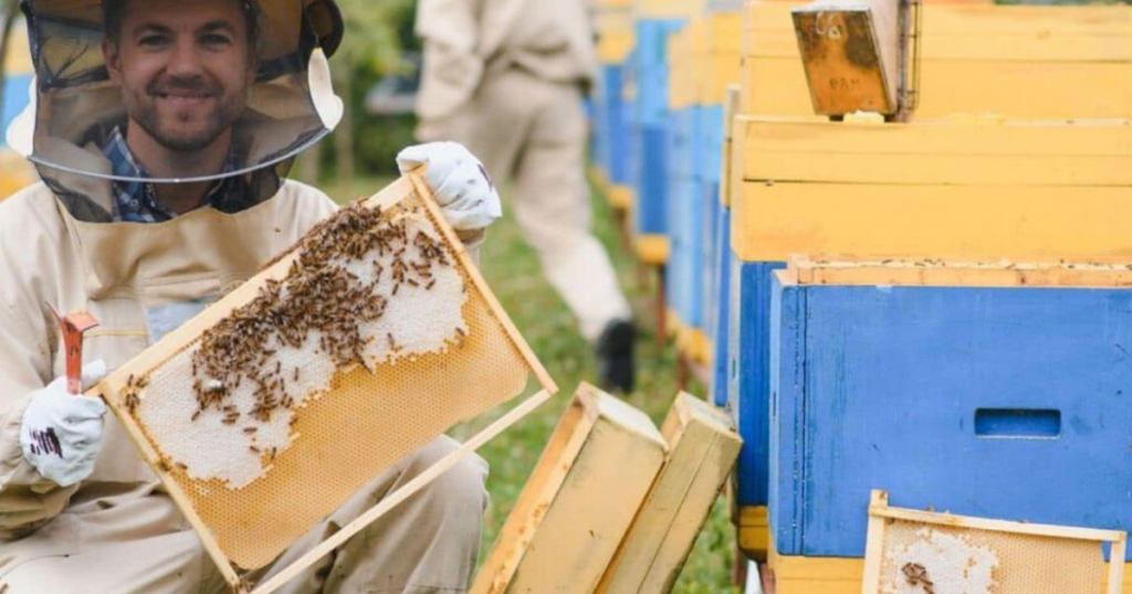 Beekeeping Classes and Clubs Near Me – Happy Beekeeper